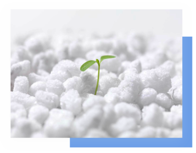 Perla – Perla Group, premier dans l'innovation